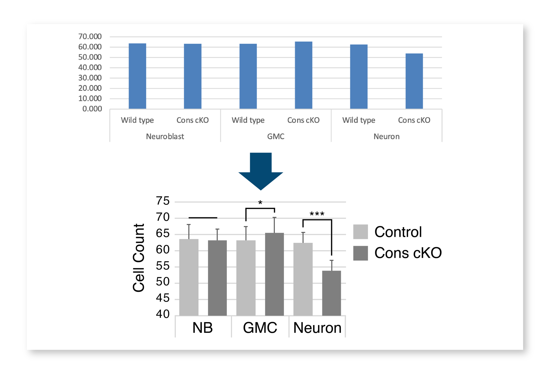 Online Course: Adobe Illustrator for Scientists | Simplified Science Pro