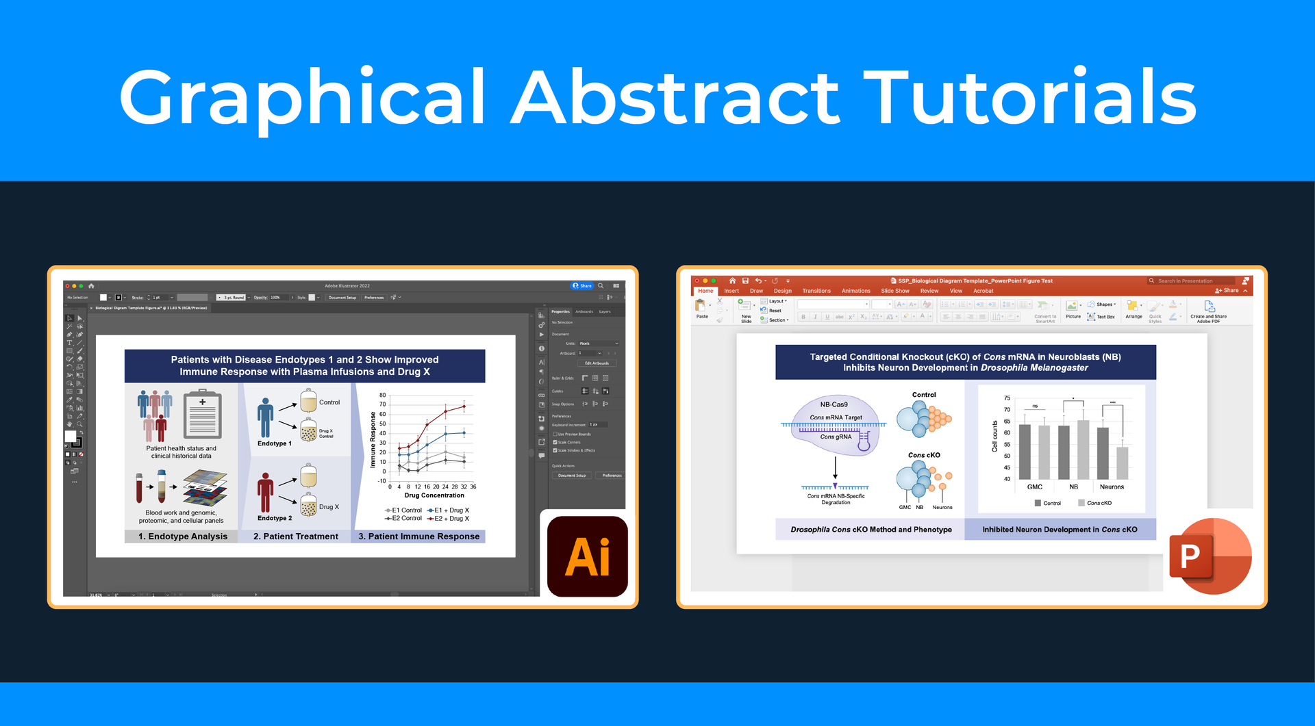 How to Make Professional Graphical Abstracts in PowerPoint and Adobe ...