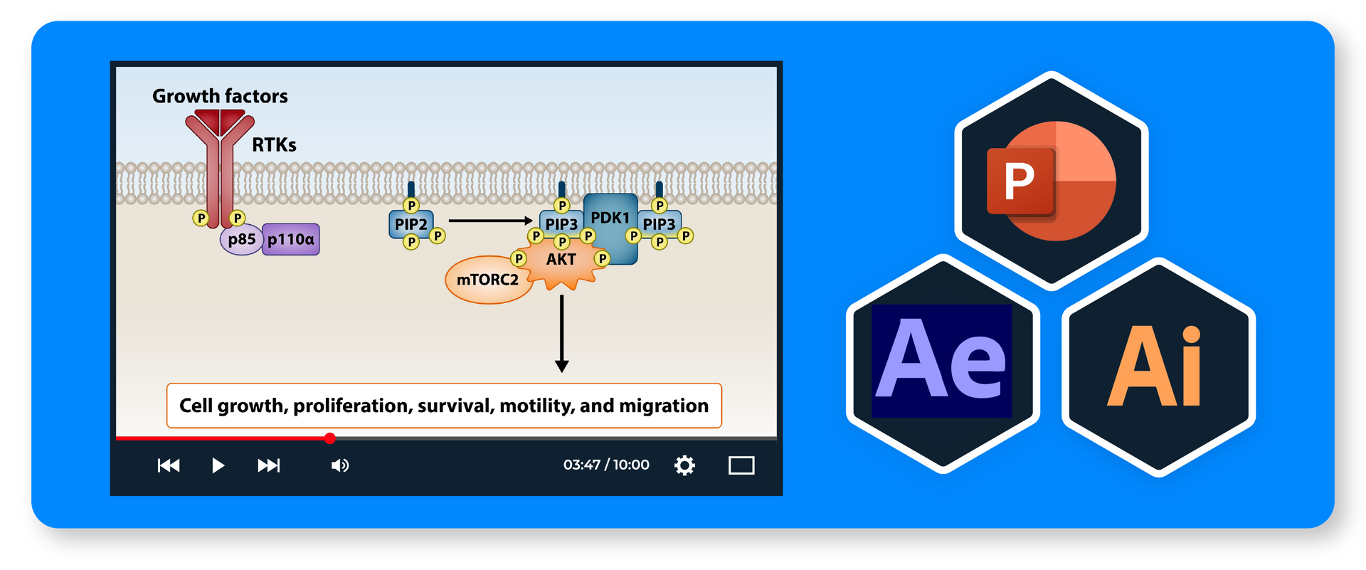 Free Scientific Illustration & Data Visualization Courses | Simplified ...