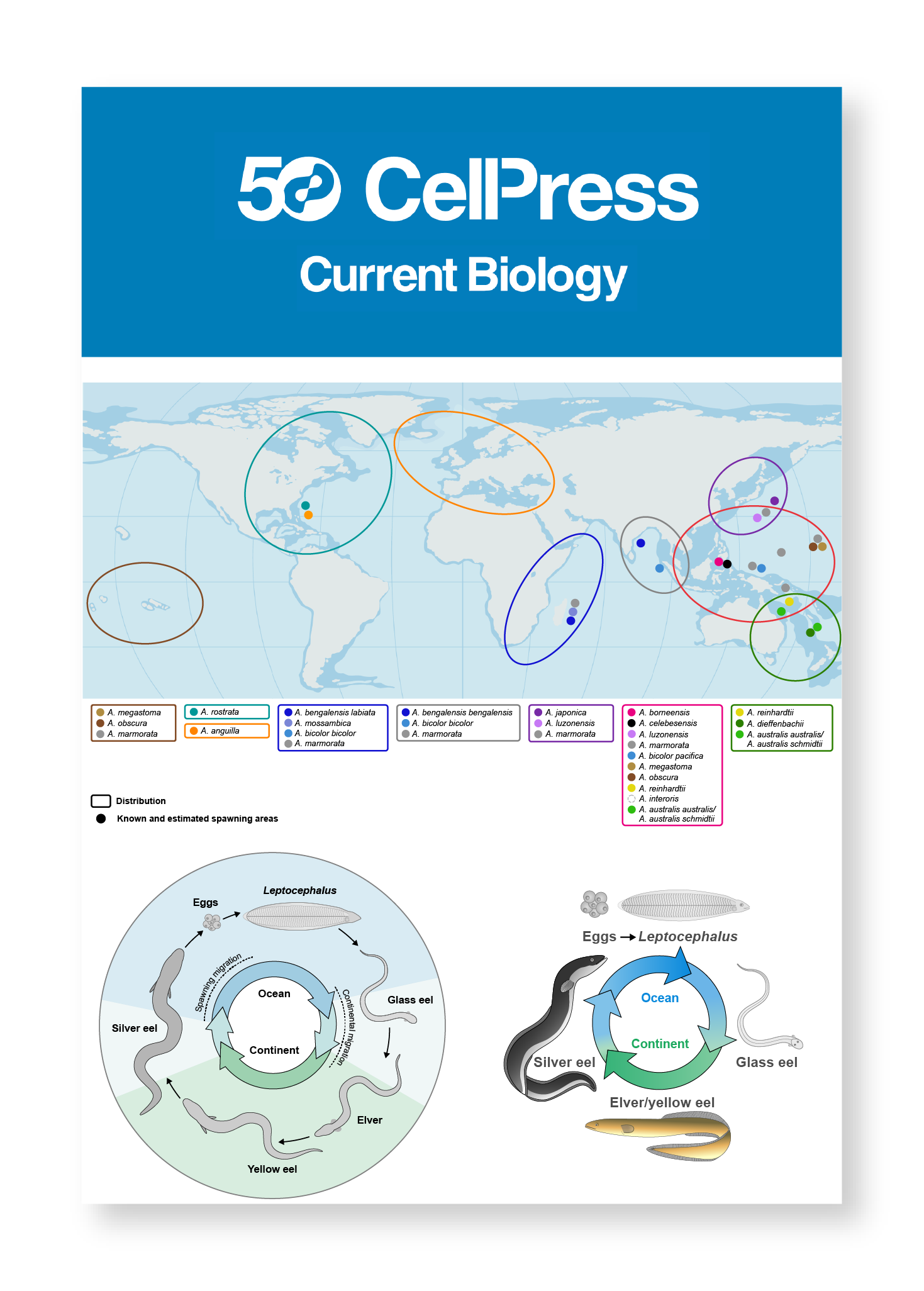 Figures & Graphical Abstracts for Scientific Publications | Simplified ...