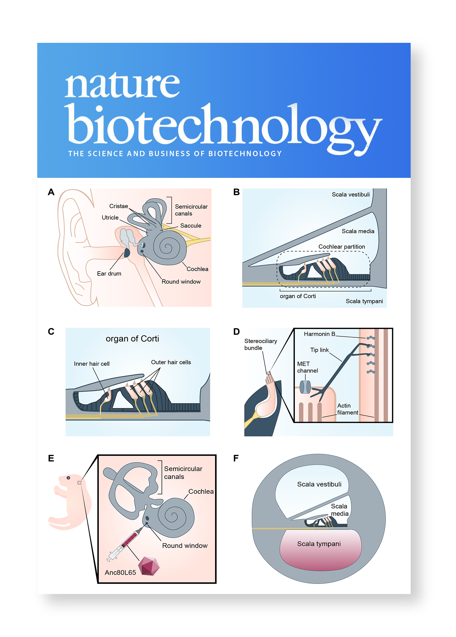 Figures & Graphical Abstracts for Scientific Publications | Simplified ...