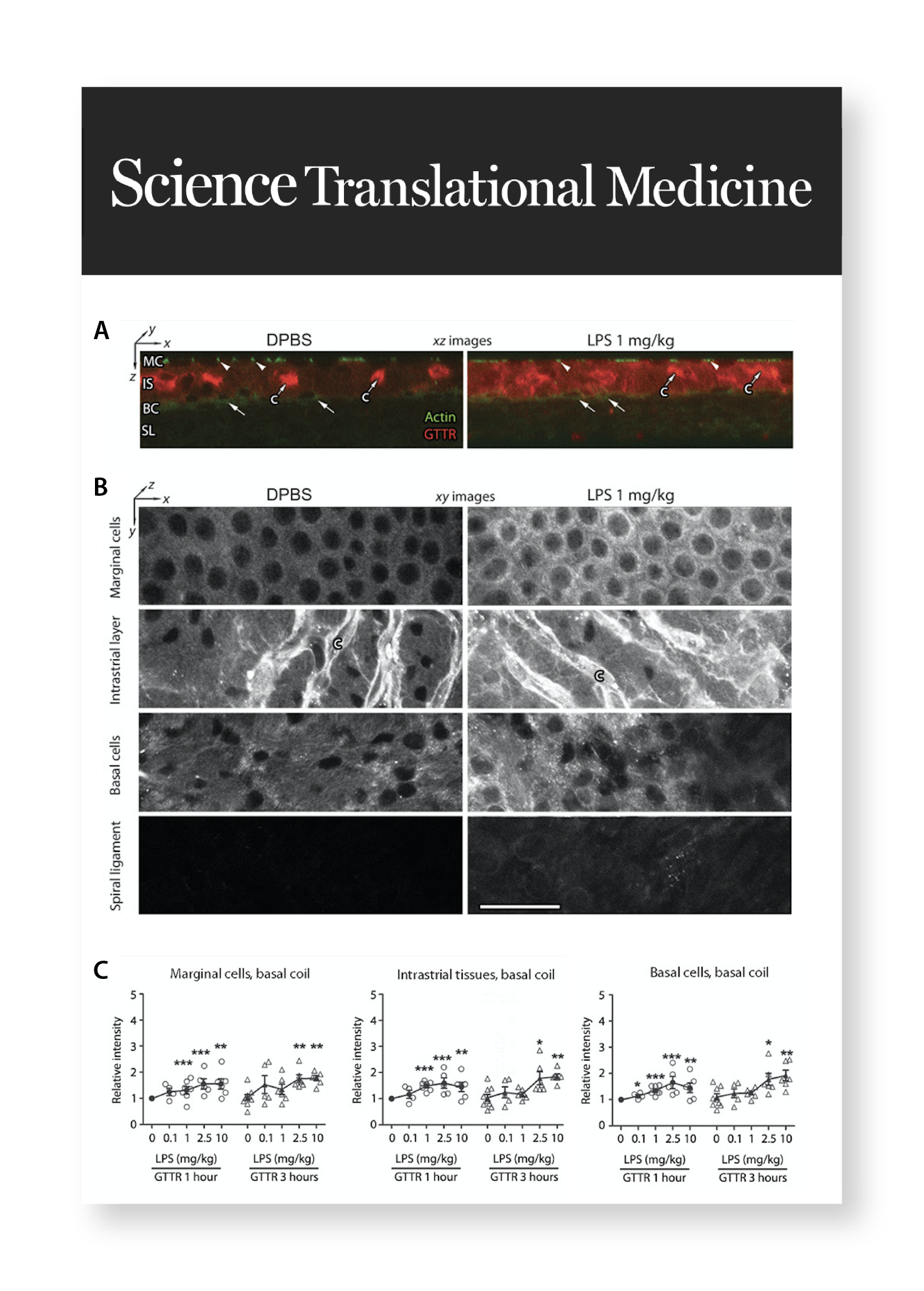 Figures & Graphical Abstracts for Scientific Publications | Simplified ...