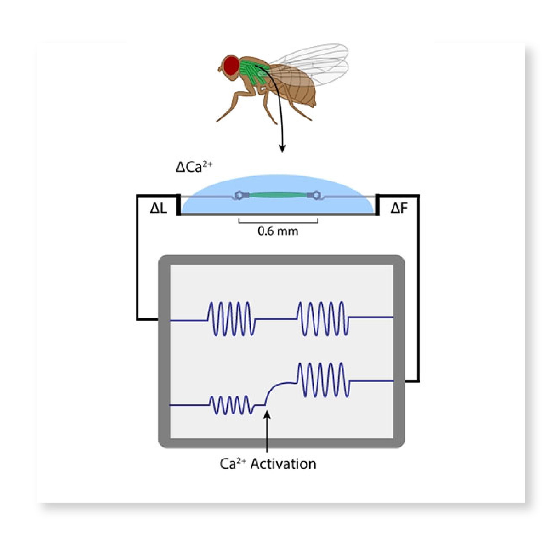 Figures & Graphical Abstracts for Scientific Publications | Simplified ...