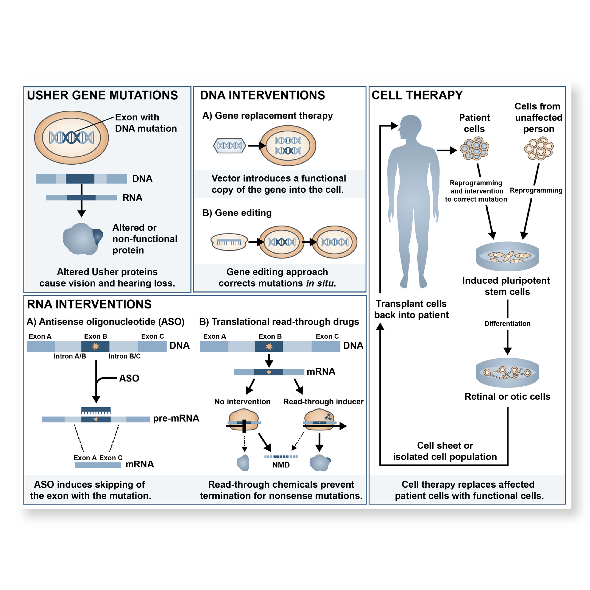 Figures & Graphical Abstracts for Scientific Publications | Simplified ...