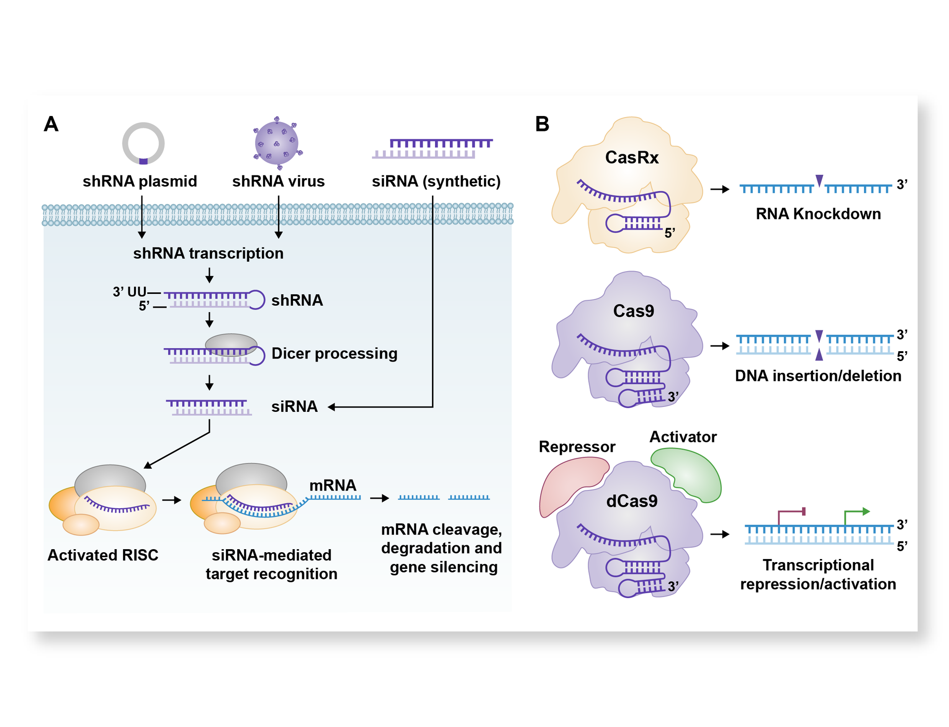 Figures & Graphical Abstracts for Scientific Publications | Simplified ...