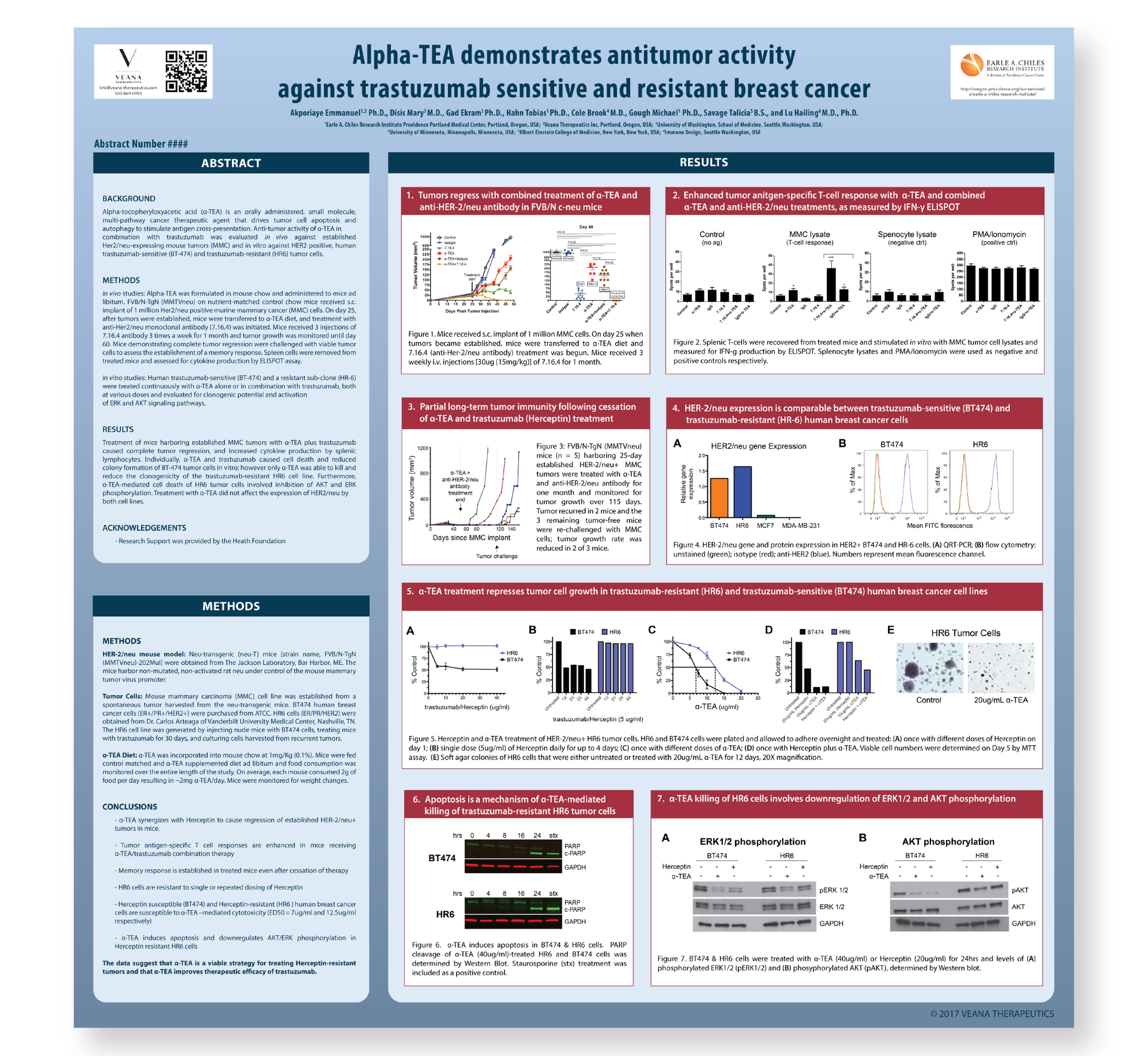 Research Poster & Scientific Presentation Slide Designs | Simplified ...