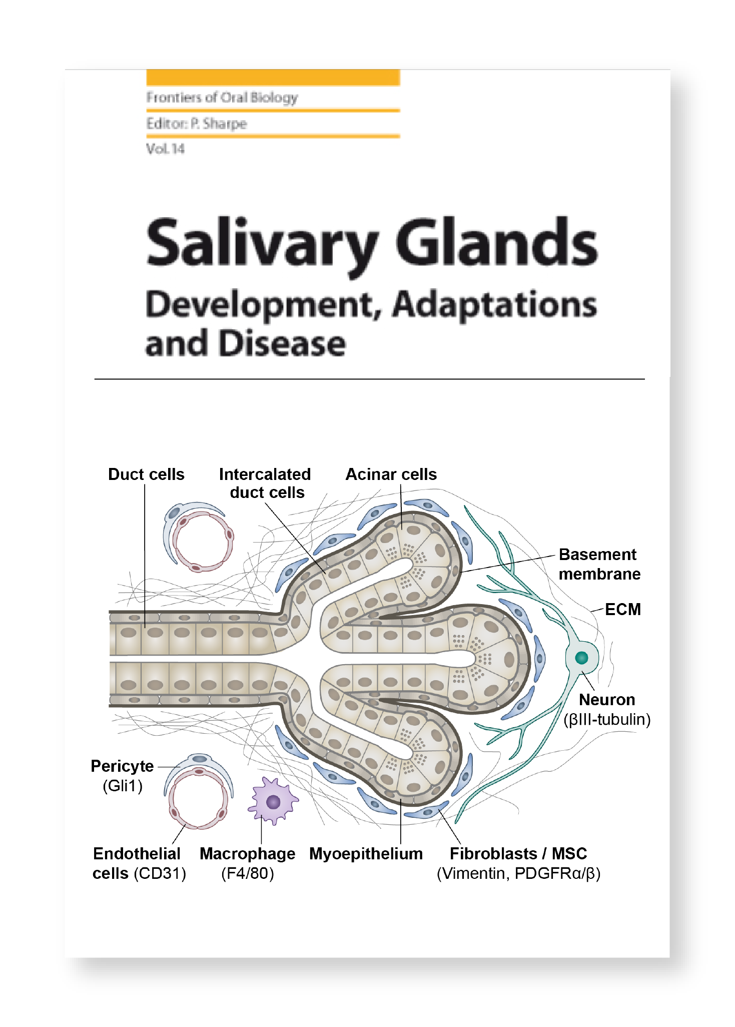 Figures & Graphical Abstracts for Scientific Publications | Simplified ...