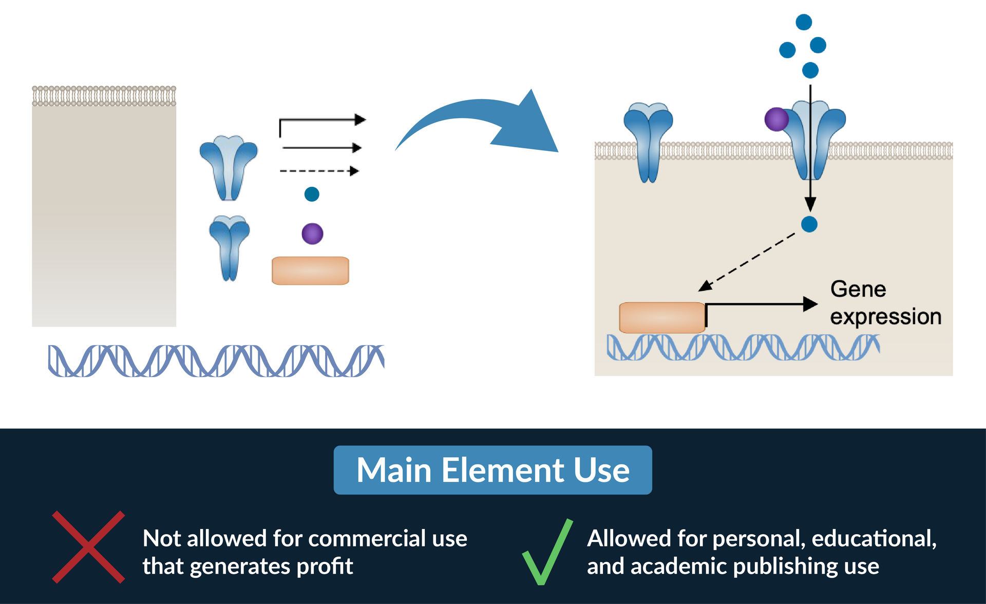 How to Use Simplified Science Publishing Content
