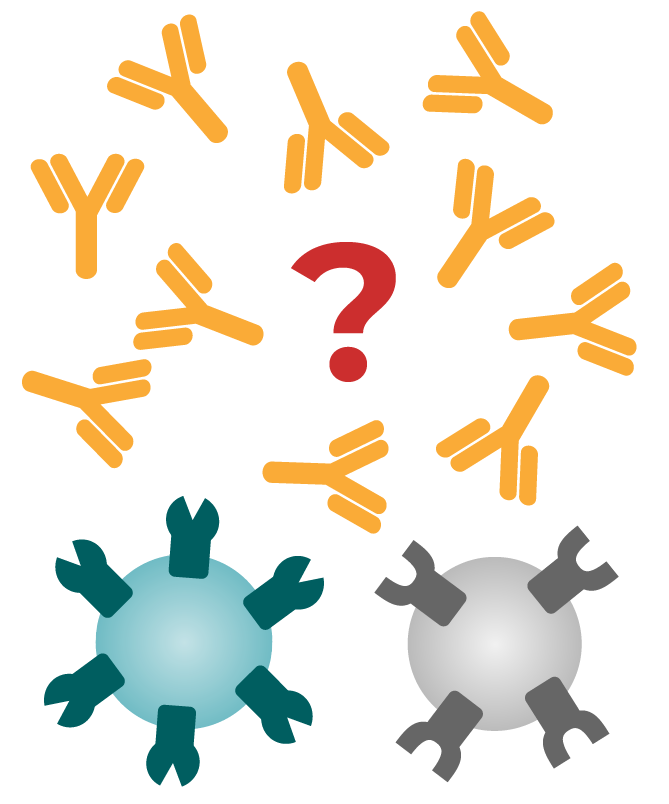 Data Storytelling Techniques: How to Tell a Great Data Story in 4 Steps