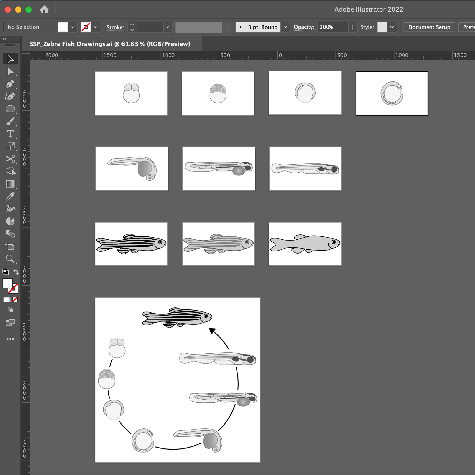 Free Graphical Abstract Templates for PowerPoint and Adobe Illustrator