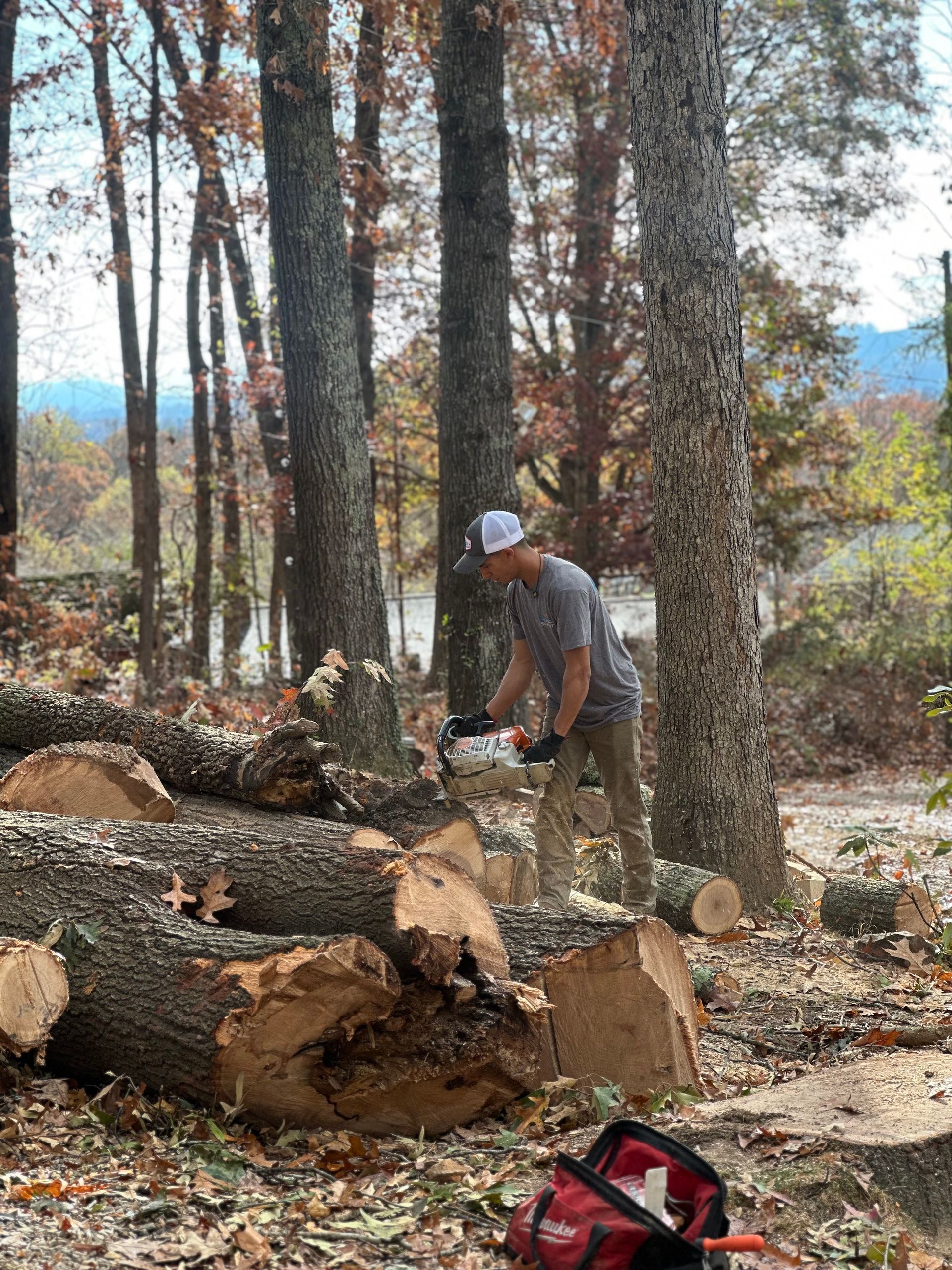 Tree Removal & Care | JR Tree Service LLC | Candler, NC