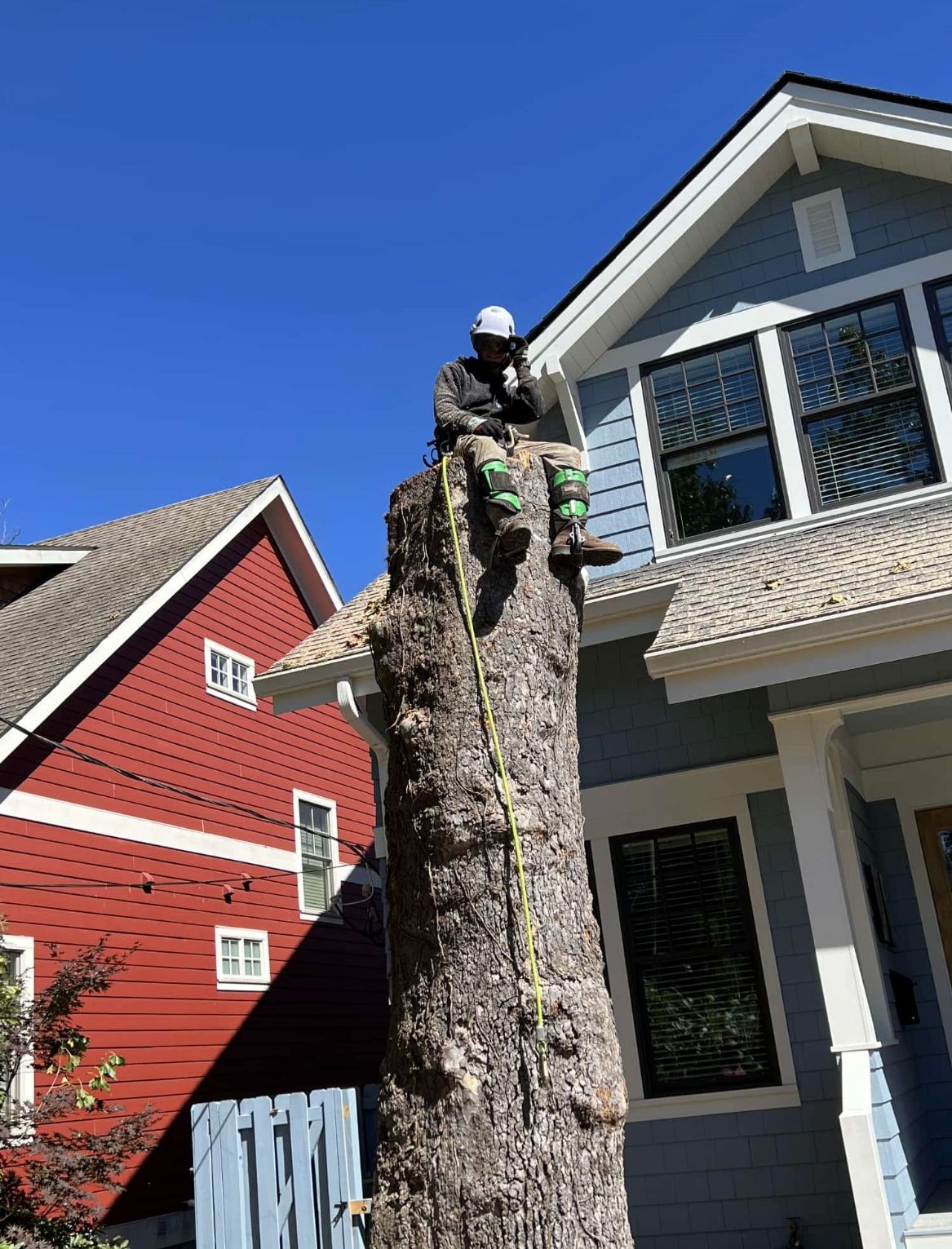 Tree Removal & Care | JR Tree Service LLC | Candler, NC