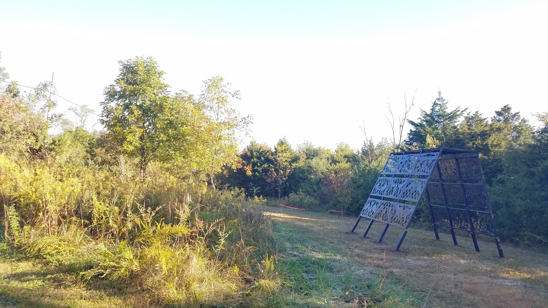Céline Browning reflects on JSP residency