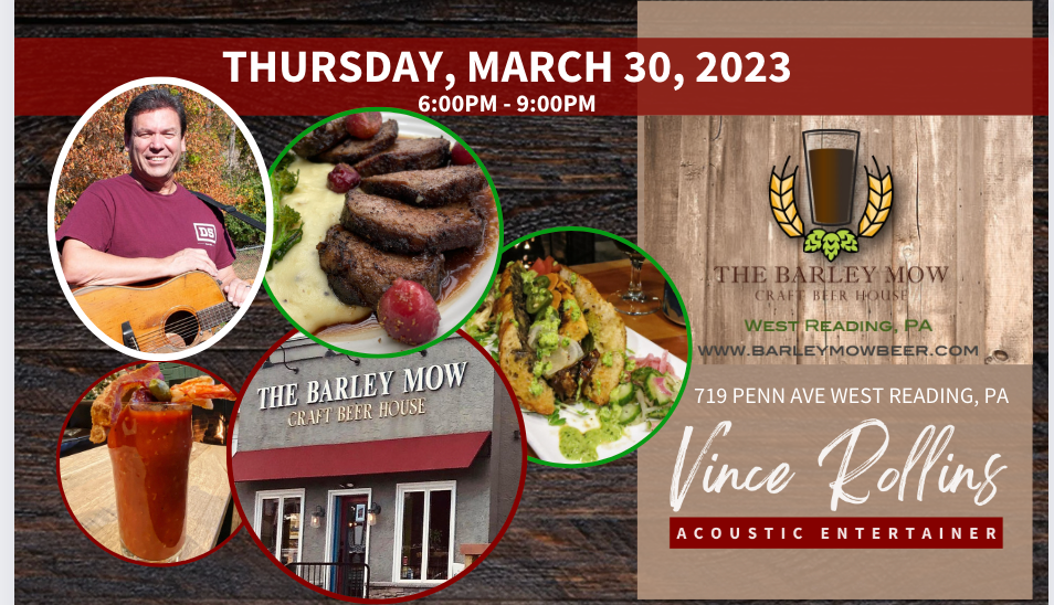 Vince Rollins Acoustic Entertainer