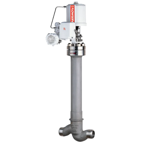 Flowserve Valtek Control Valves | TVC Africa | Africa