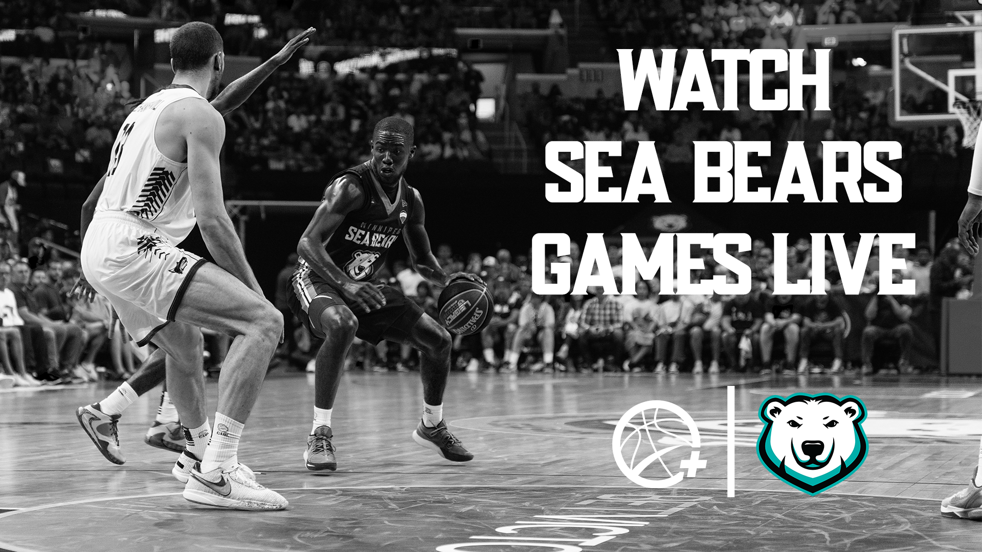 Winnipeg Sea Bears - Where to Watch