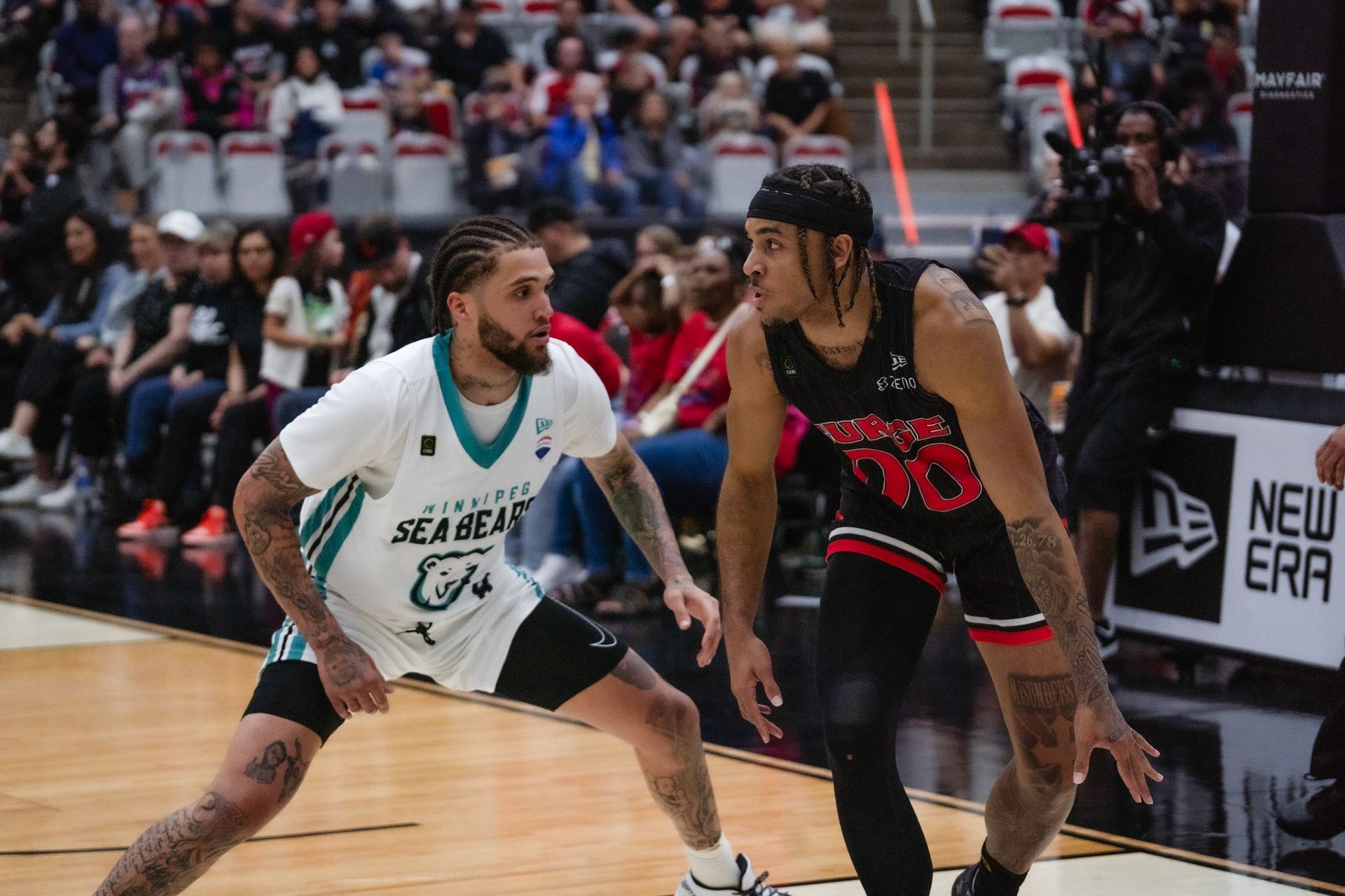 2023 Winnipeg Sea Bears photo gallery
