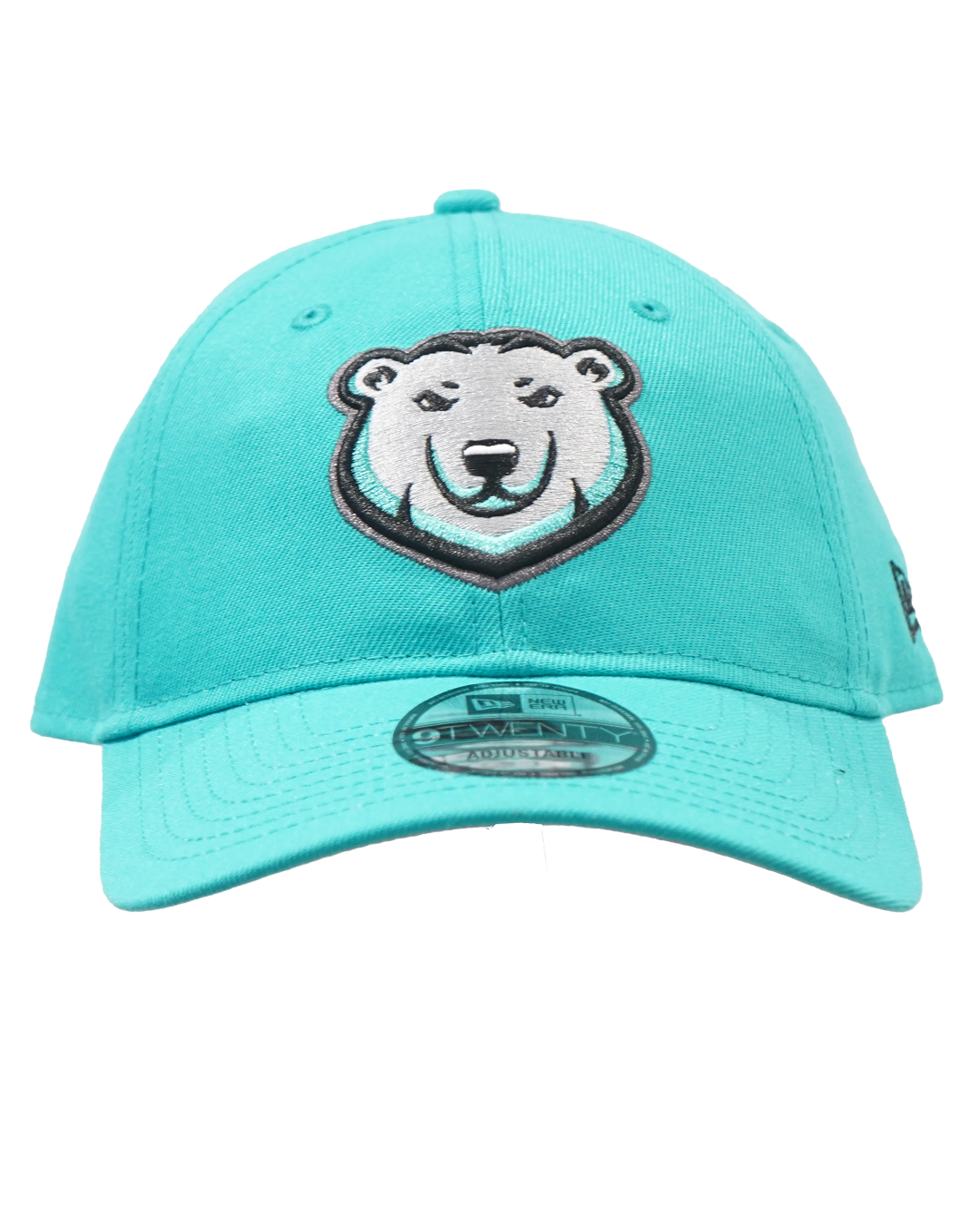 Winnipeg Sea Bears- Canadian Professional Basketball Team