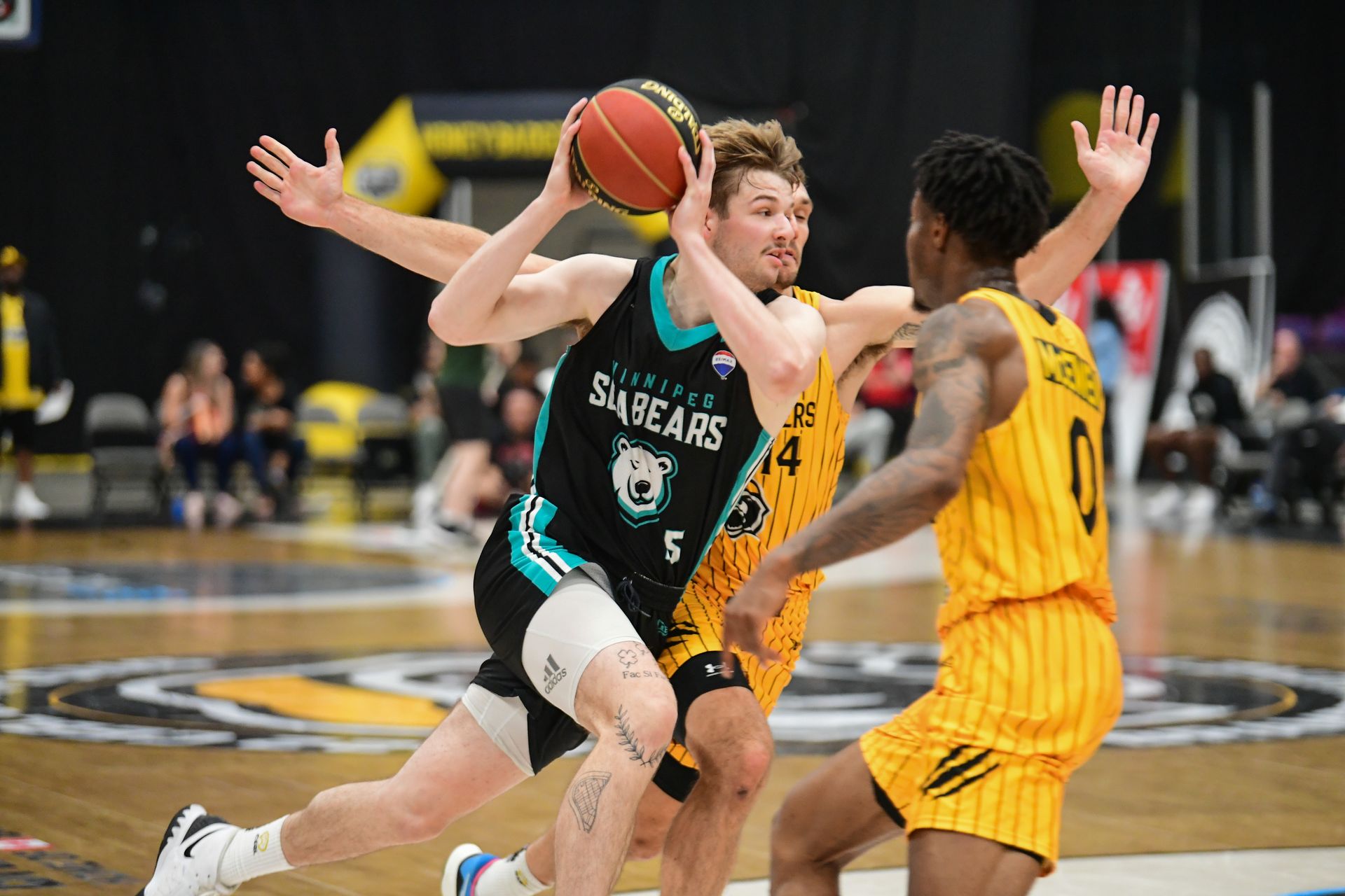 2023 Winnipeg Sea Bears photo gallery