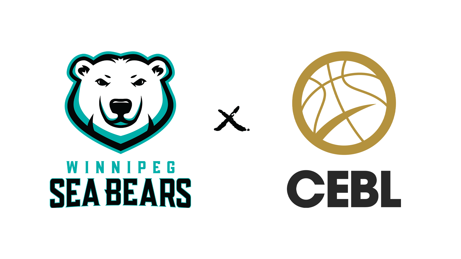 About The Winnipeg Sea Bears - CEBL Team in Winnipeg, Manitoba