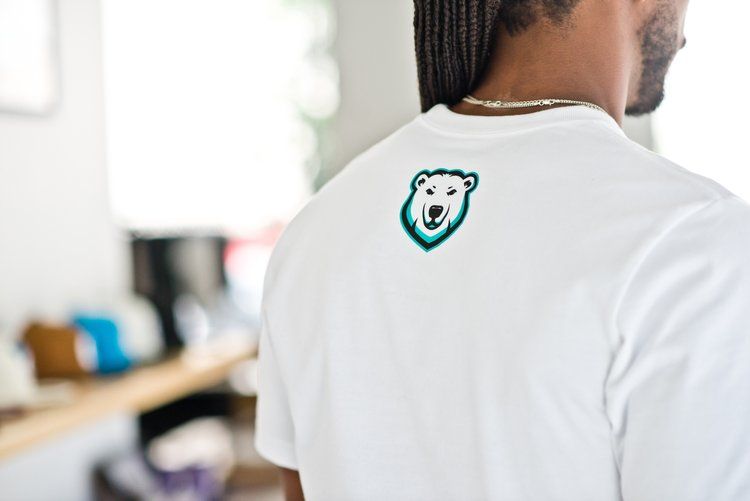 Winnipeg Sea Bears- Canadian Professional Basketball Team