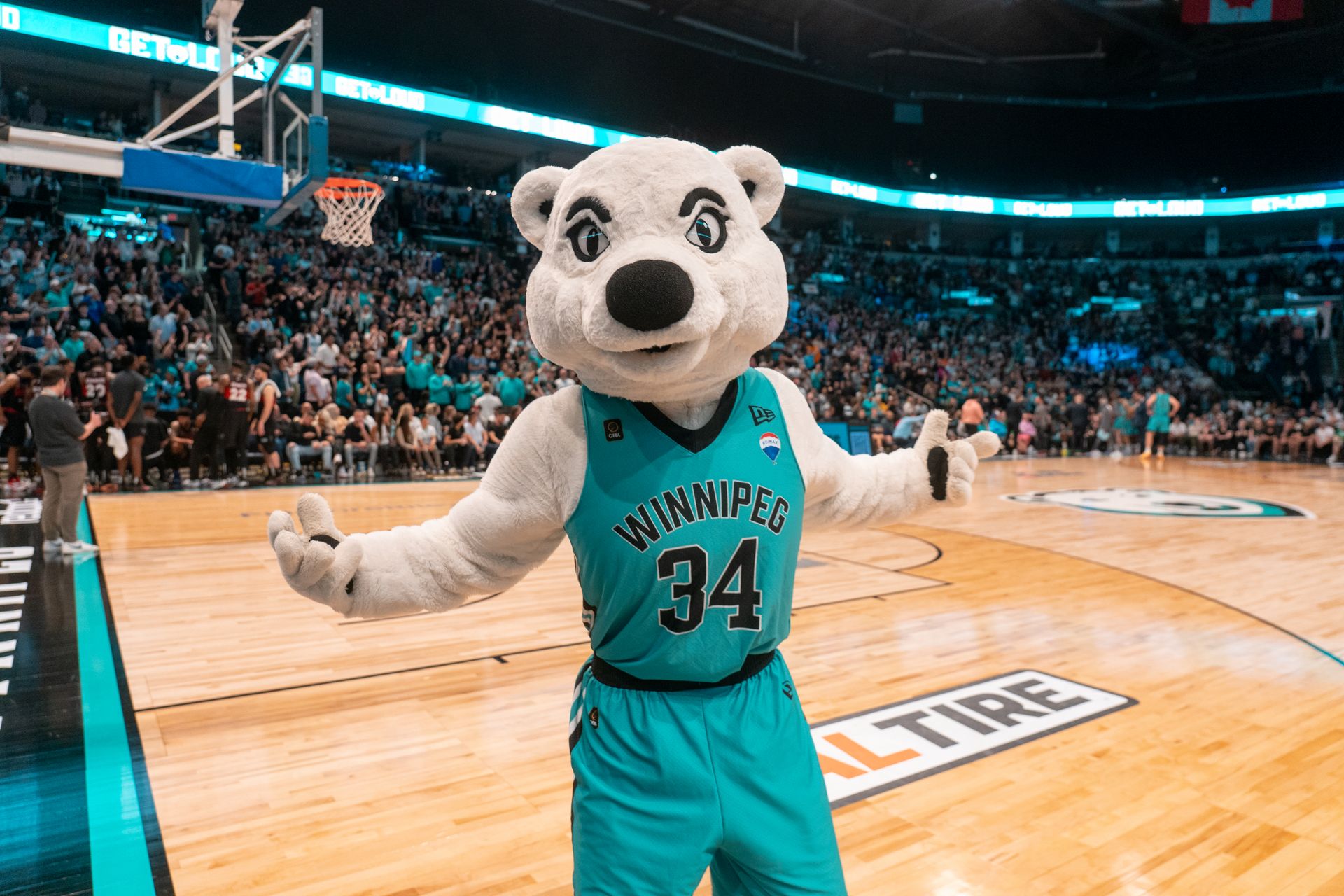 2023 Winnipeg Sea Bears photo gallery