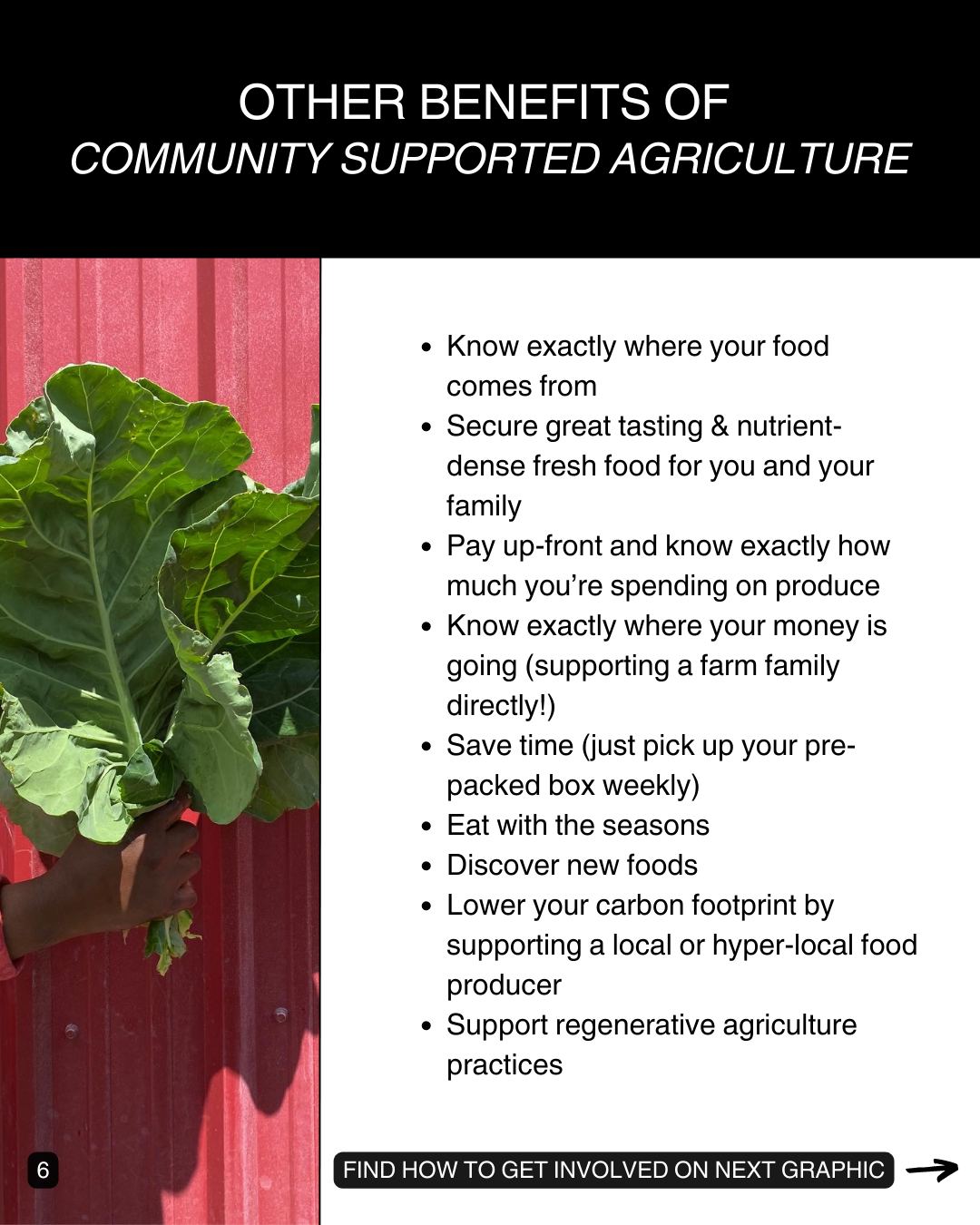 CSA vs. Grocery Store Cost Comparison