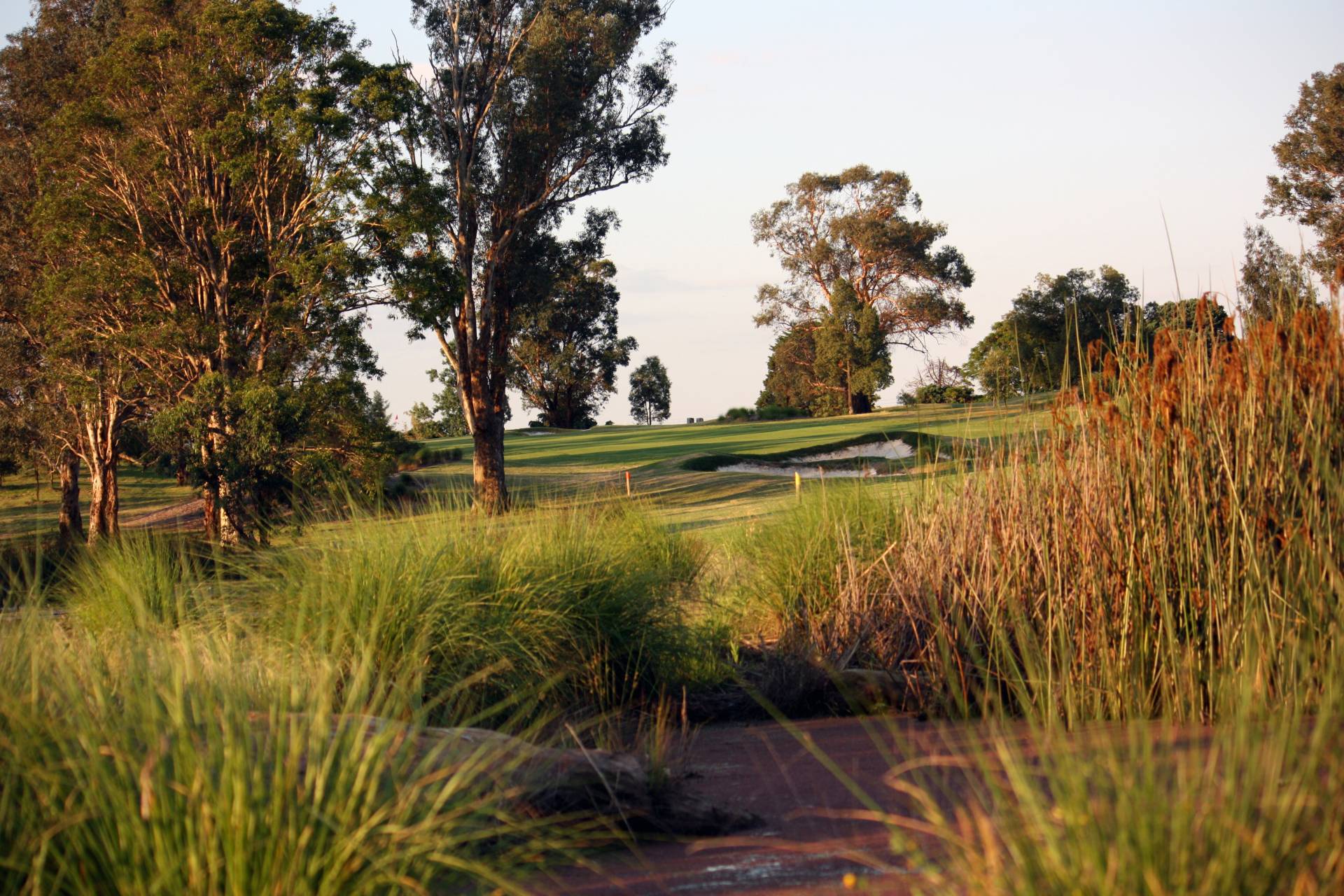 Welcome to the Camden Golf Club | Studley Park