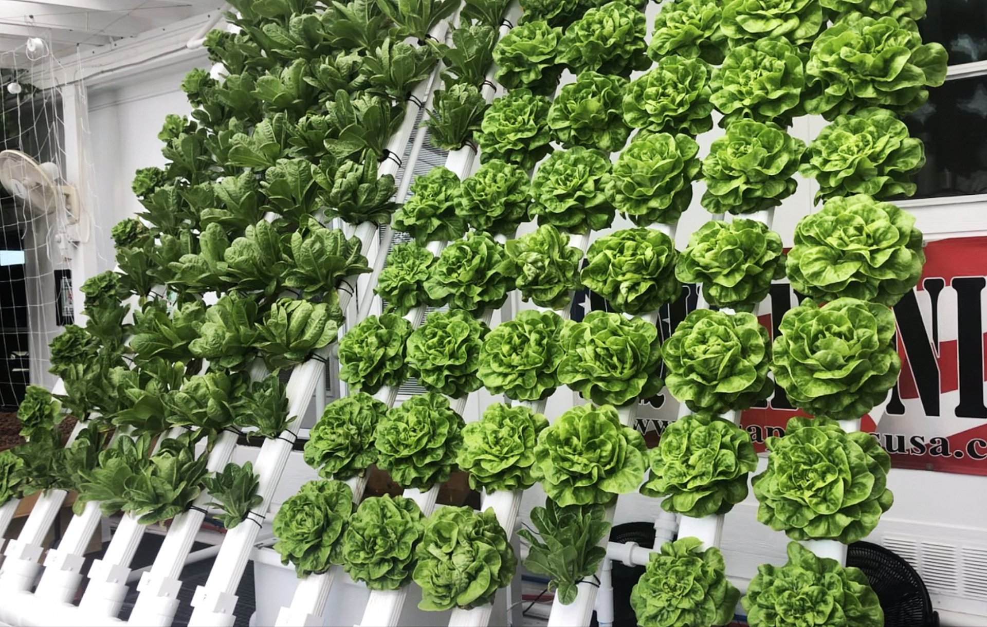 Large-scale Aquaponics Systems | Aquaponics USA