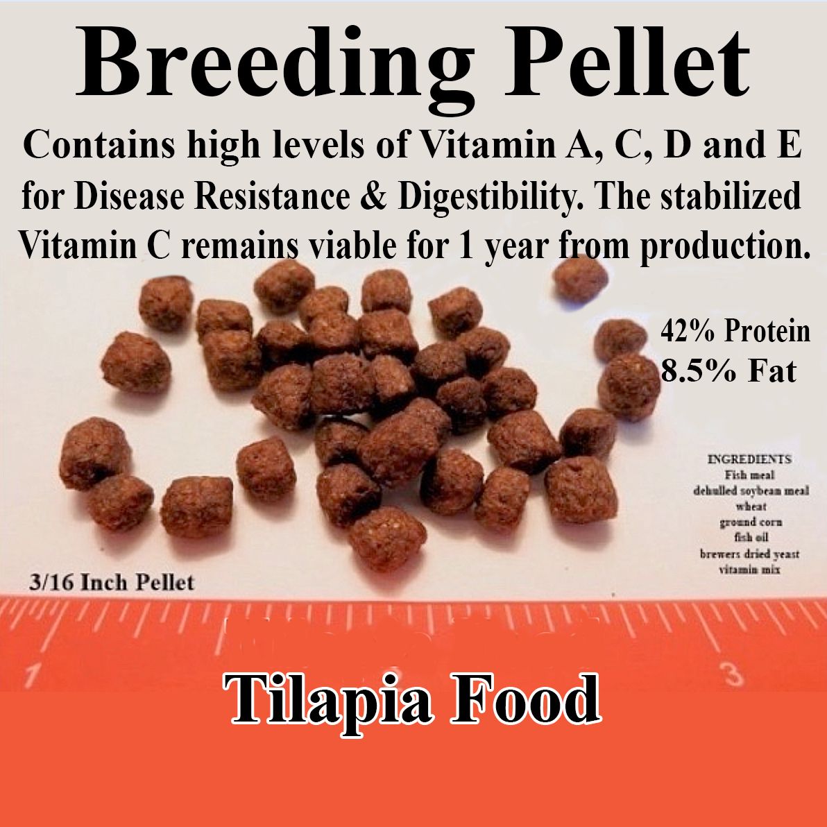 01. Blue Tilapia Fingerlings