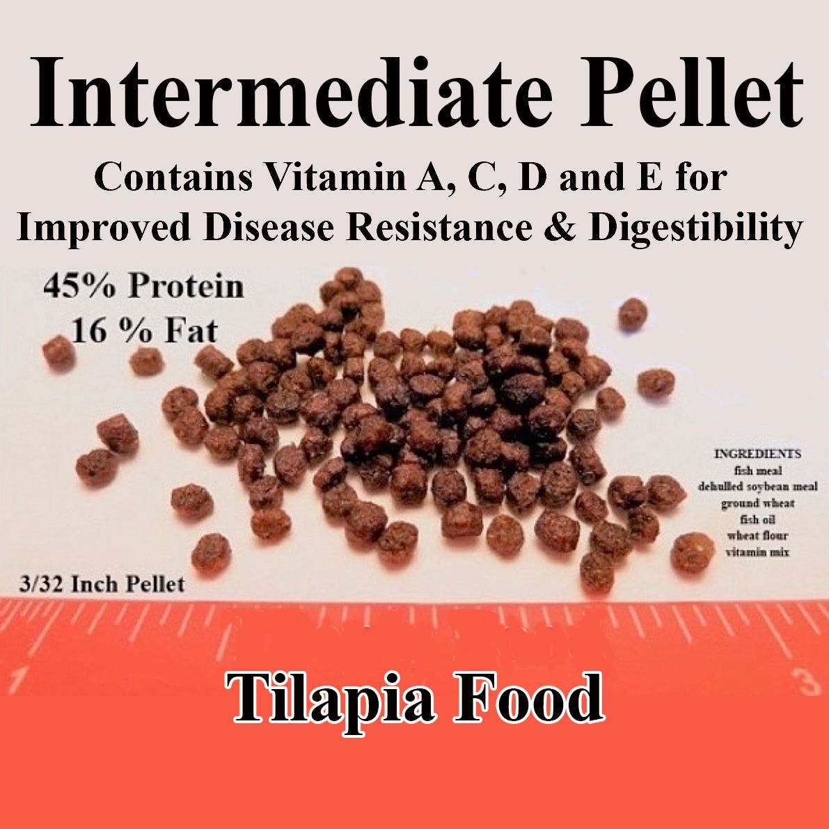 01. Blue Tilapia Fingerlings