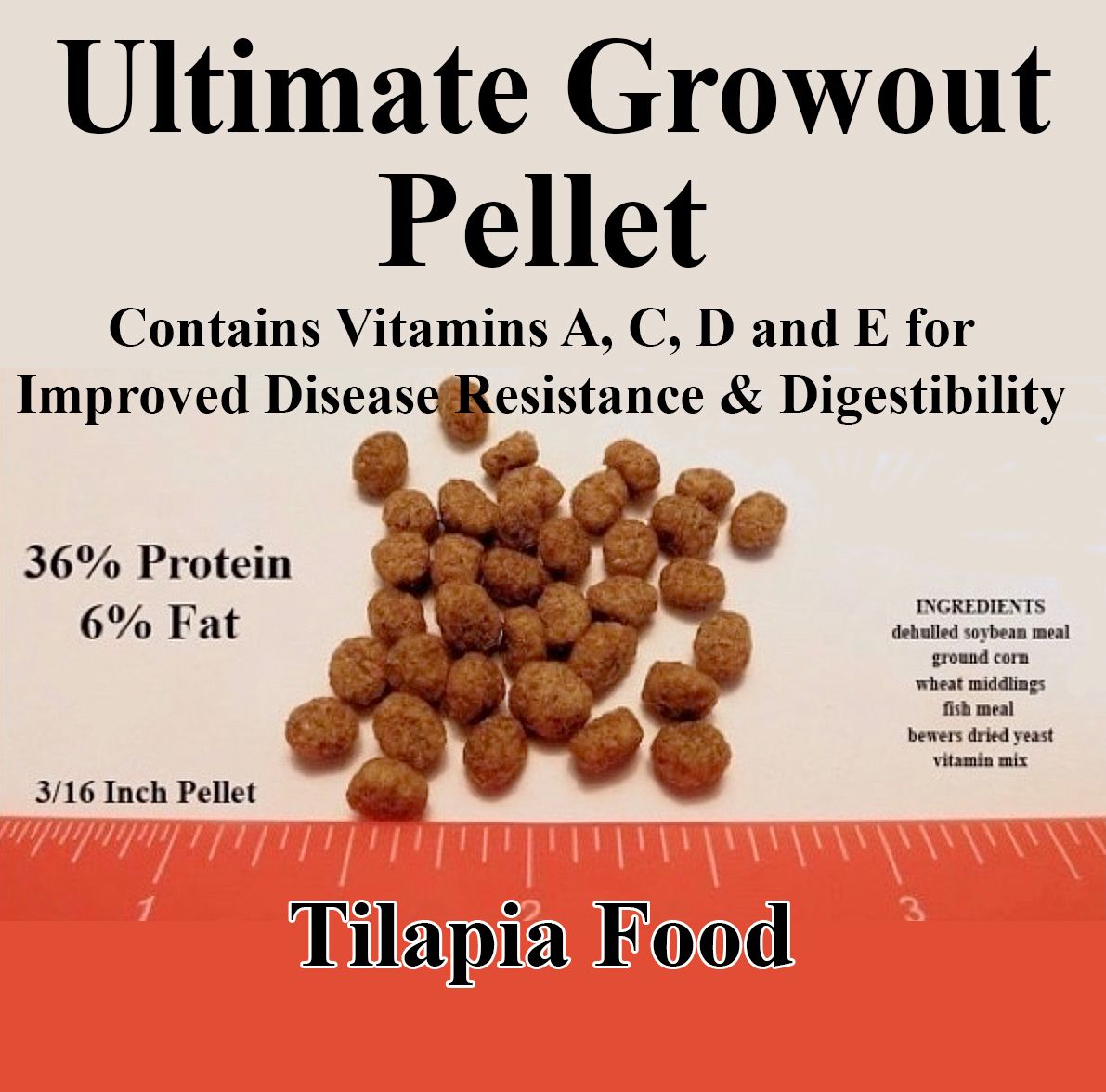 01. Blue Tilapia Fingerlings