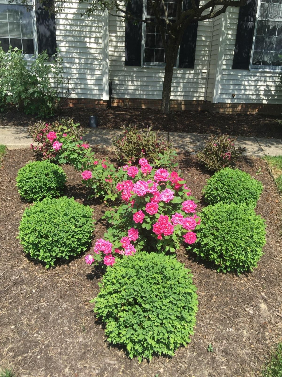 Landscape Design | Atwater, OH | Northern Buckeye Lawn