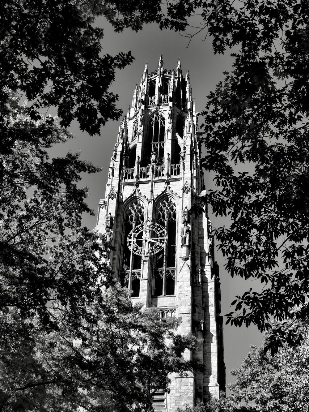 Yale Photo Walk & Photo Contest