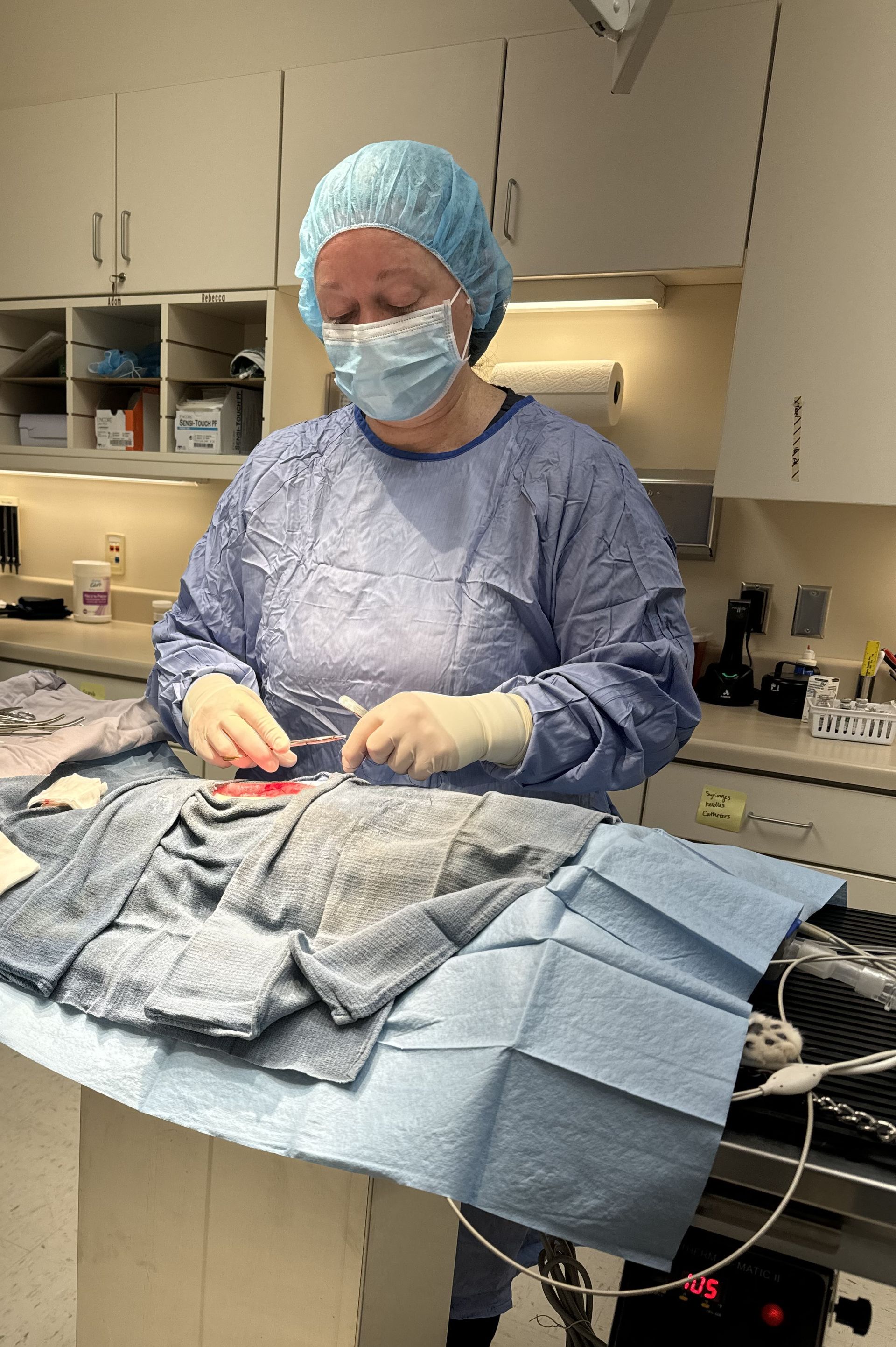 Chetek Veterinary Clinic | Large, Farm Animal & Pet Care