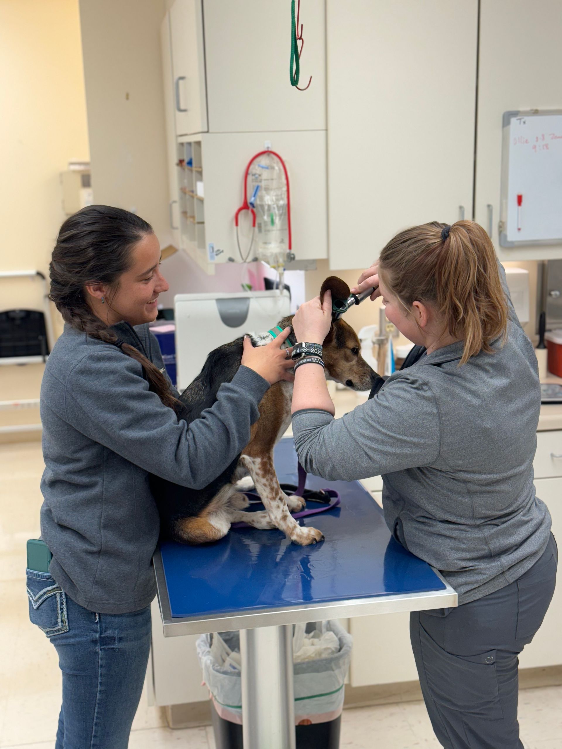 Cameron Veterinary Clinic