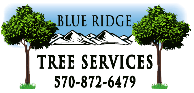 Tree Company | Dingmans Ferry, PA | Blue Ridge Tree Services