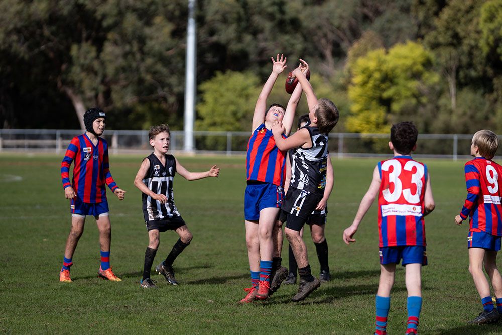 Rye Junior Football Club | Registration Information