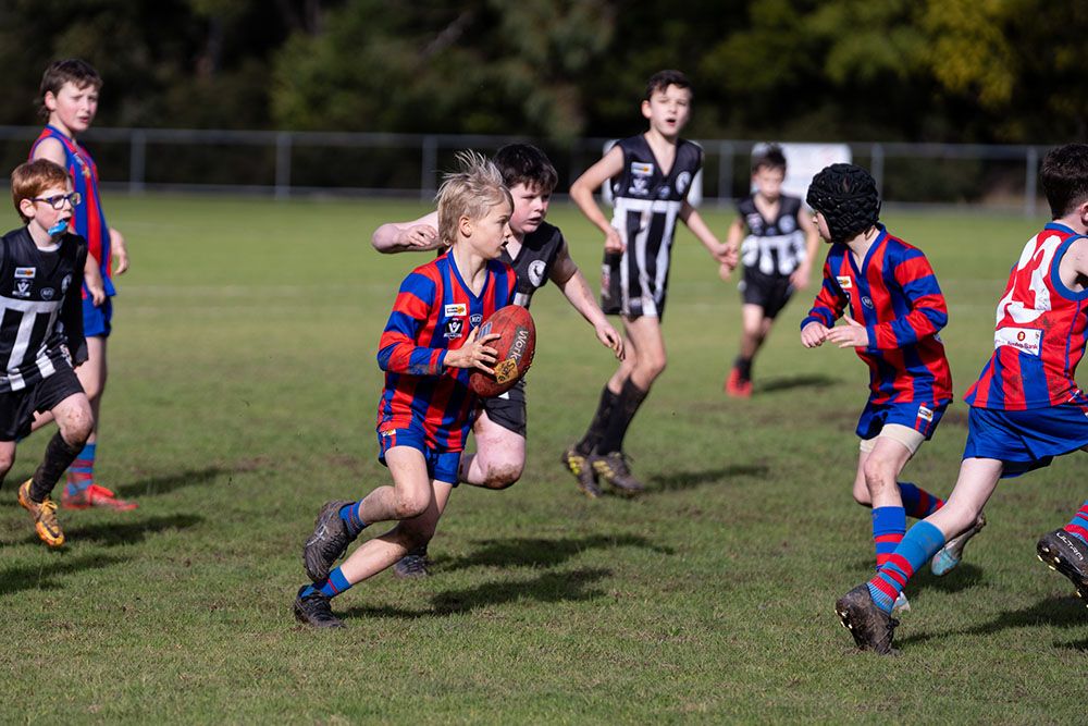 Officials & Roles | Rye Junior Football Club