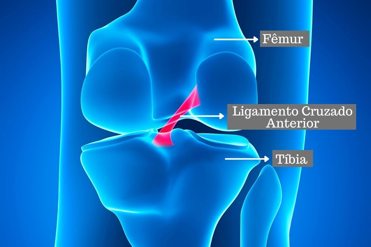 Ligamento Cruzado Anterior: o que é?