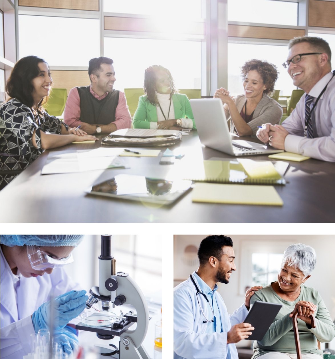Careers - Protagonist Therapeutics Inc.
