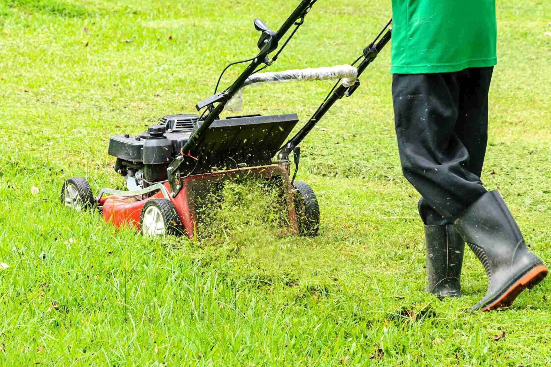 Why Professional Lawn Care Makes Sense for Texas Homes
