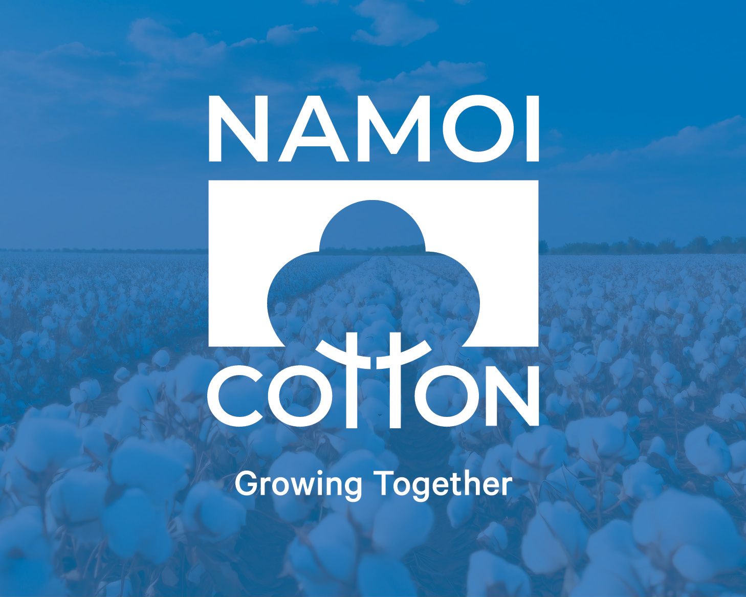 Brand design, Queensland, Black Canvas Graphic Design - Namoi Cotton