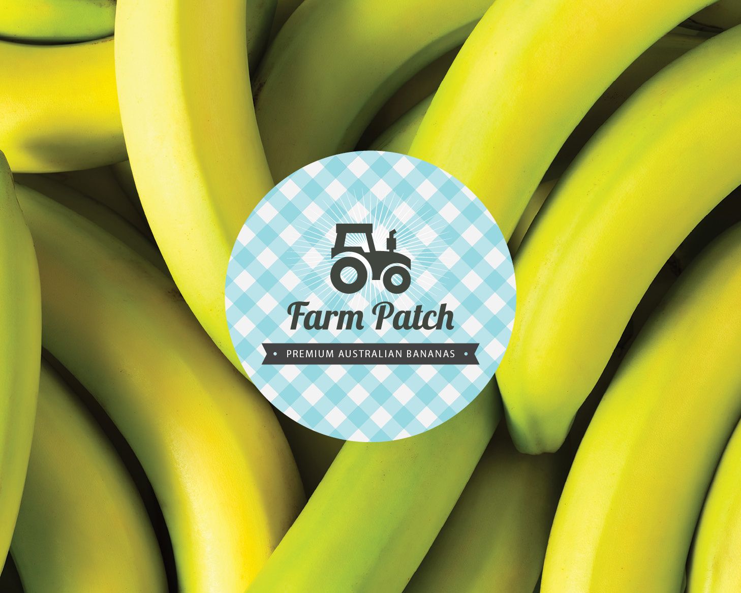 Logo, Branding and Packaging Design Sydney - Black Canvas Graphic ...