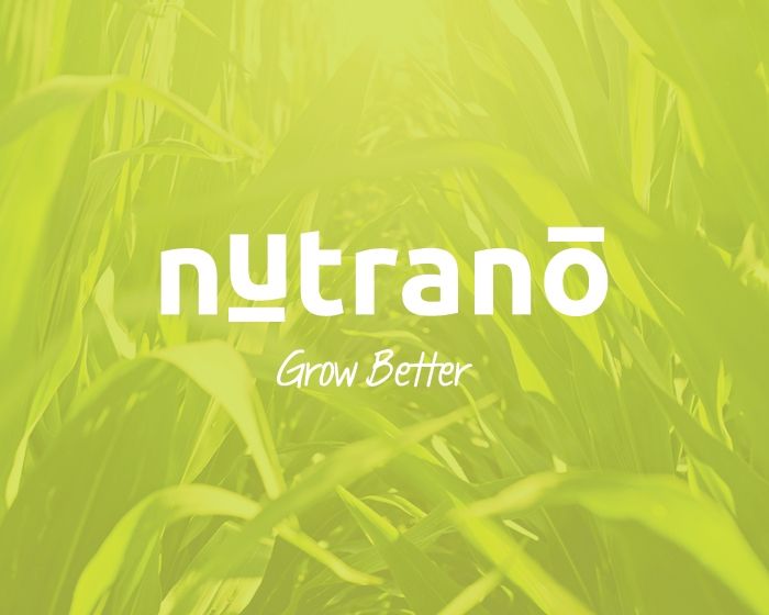 Graphic Design Toowoomba | Black Canvas Portfolio