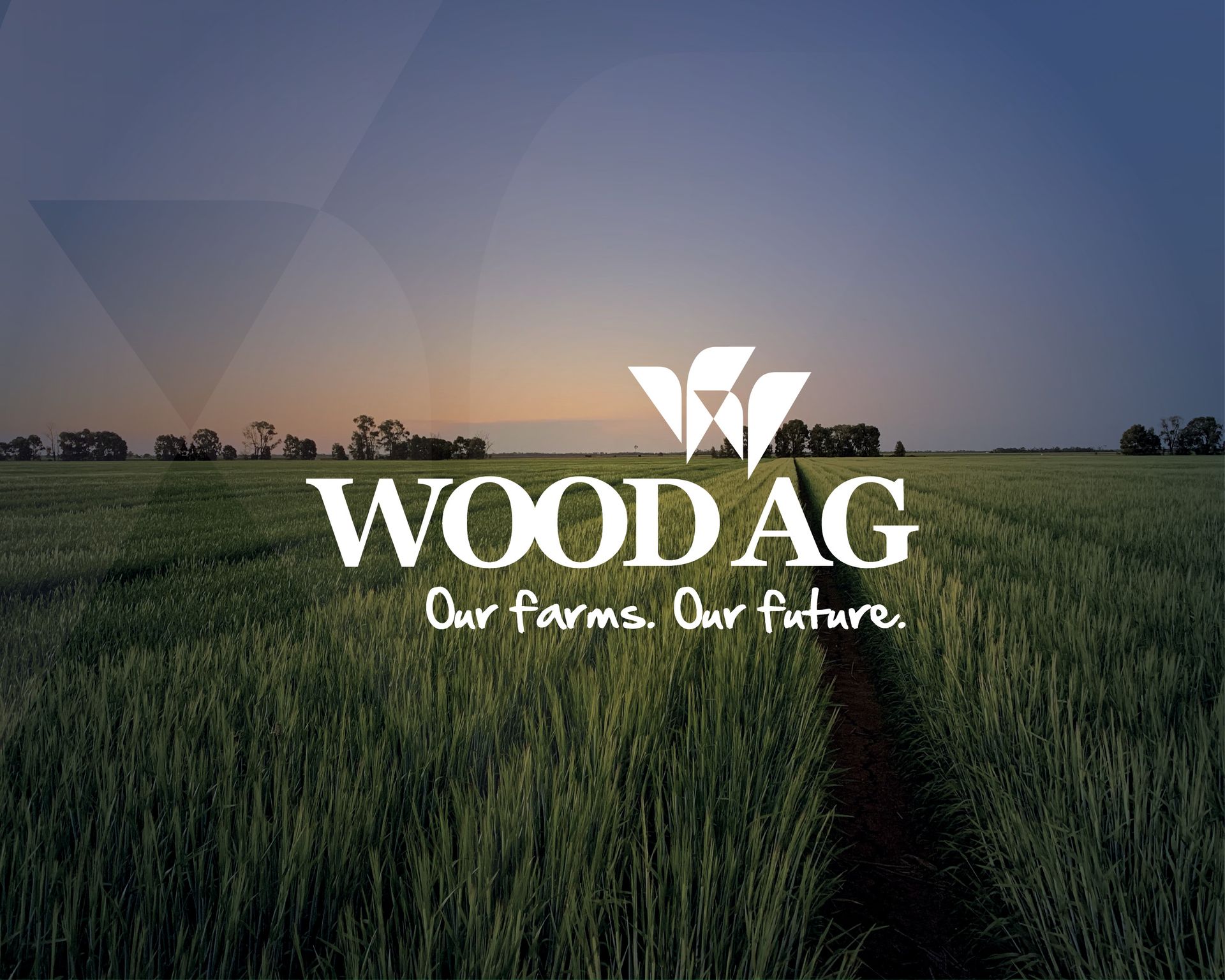 Custom Logo Design Toowoomba | Black Canvas Portfolio