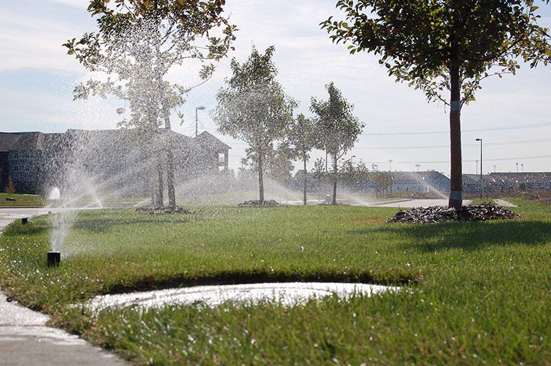 Sprinkler System Installation | Irrigation Installation