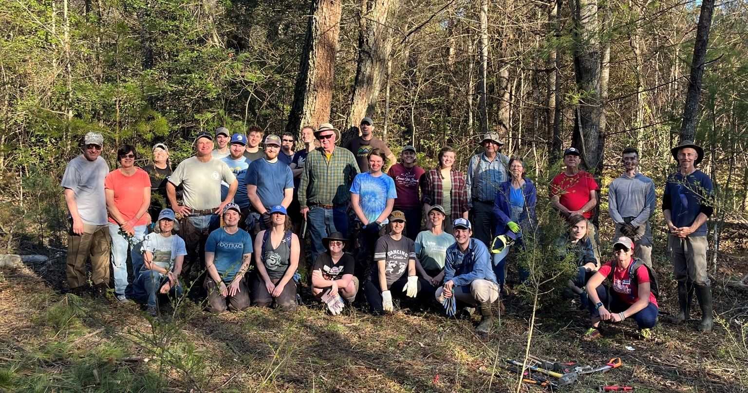 Beavers + Restoration?