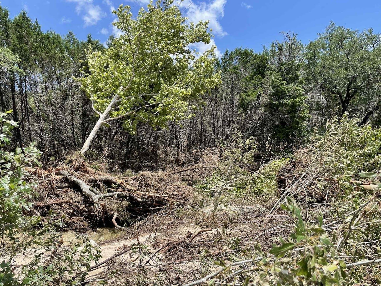 After the Flood: Doeskin Ranch Recovers