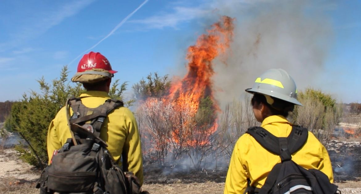 Wildfire Wisdom - prescribed fire to restore habitats.